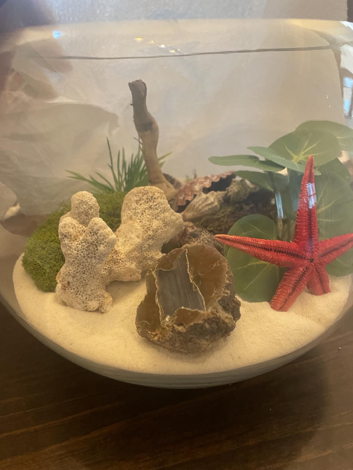 My little Ocean Oasis in the Midwest - Sassy, Spice & Minnesota Nice